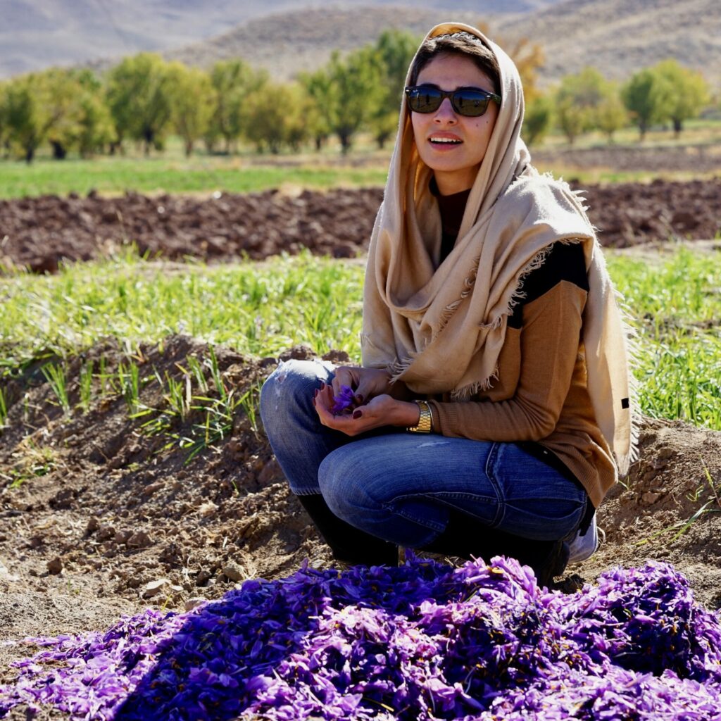 Be Inspired Wine Pairing – Persian - Euro Concepts